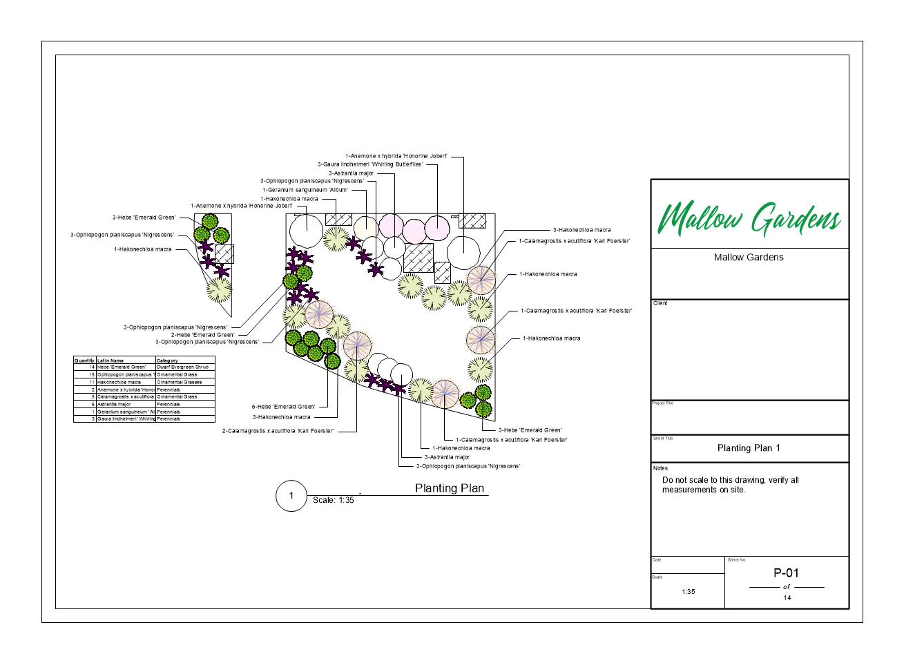 Hire an expert: Enhance your planting - Mallow Gardens